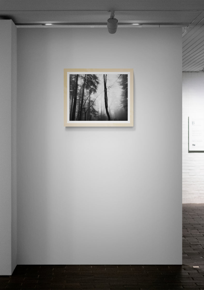 Broken Tree – LoCA.art