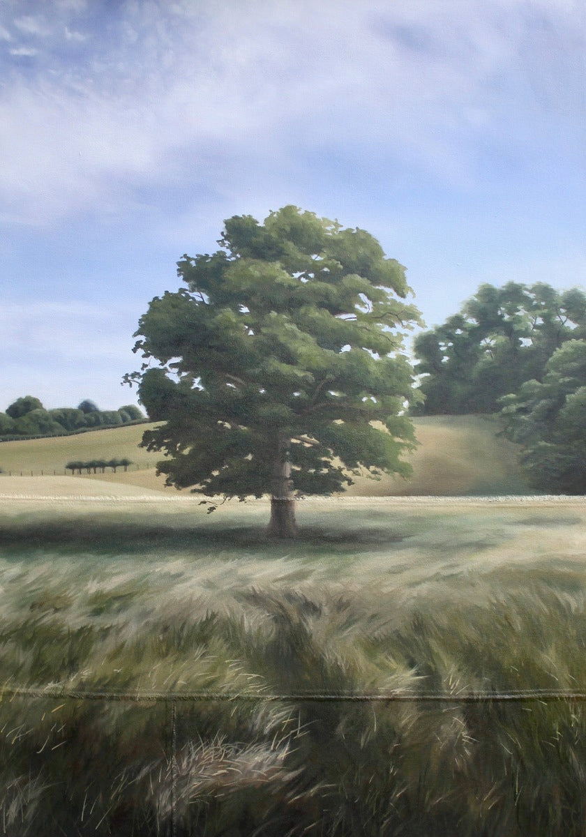 The Wonder Tree – LoCA.art